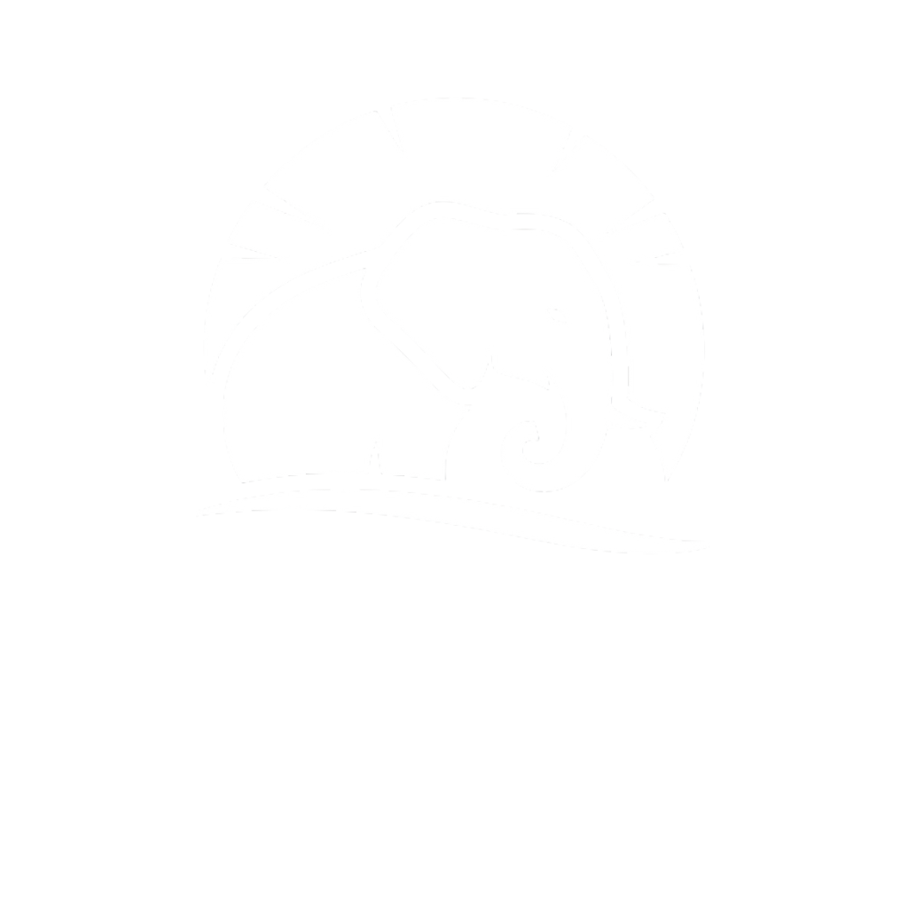 TEMBO Petroleum - Fueling Futures with Responsible Energy